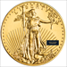Shop Gold Bullion - U.S. Coins and Jewelry